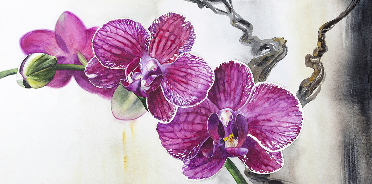 Fotobehang close-up roze orchidee tak | UniekeStickers.nl