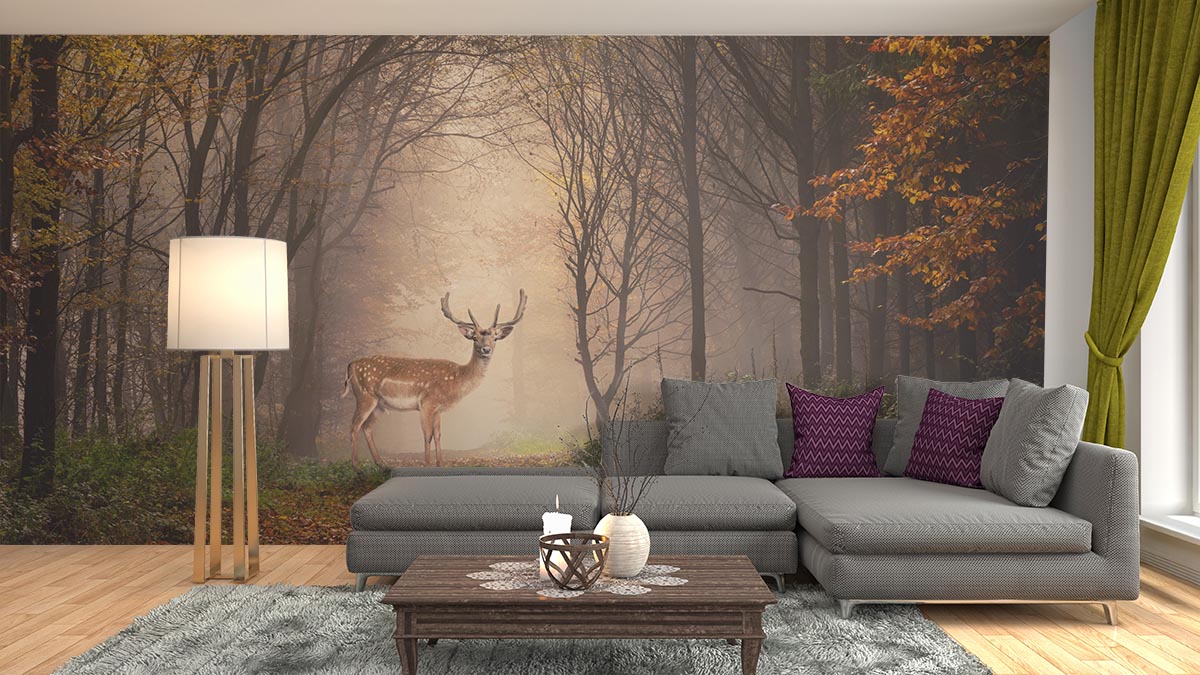 Fotobehang Dieren: Fotobehang hert in bos