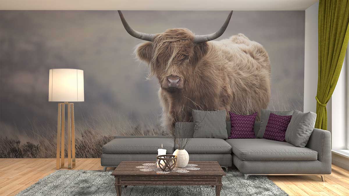 Fotobehang Dieren: Fotobehang Schotse hooglander