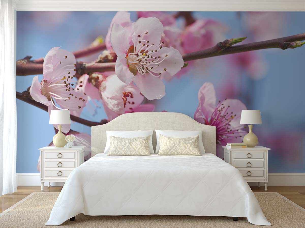 Fotobehang bloesem op maat | UniekeStickers.nl