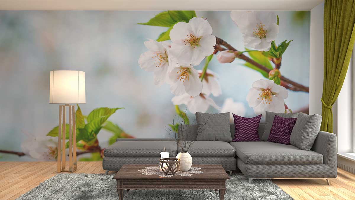 Fotobehang Bloemen: Fotobehang witte kersenbloesem