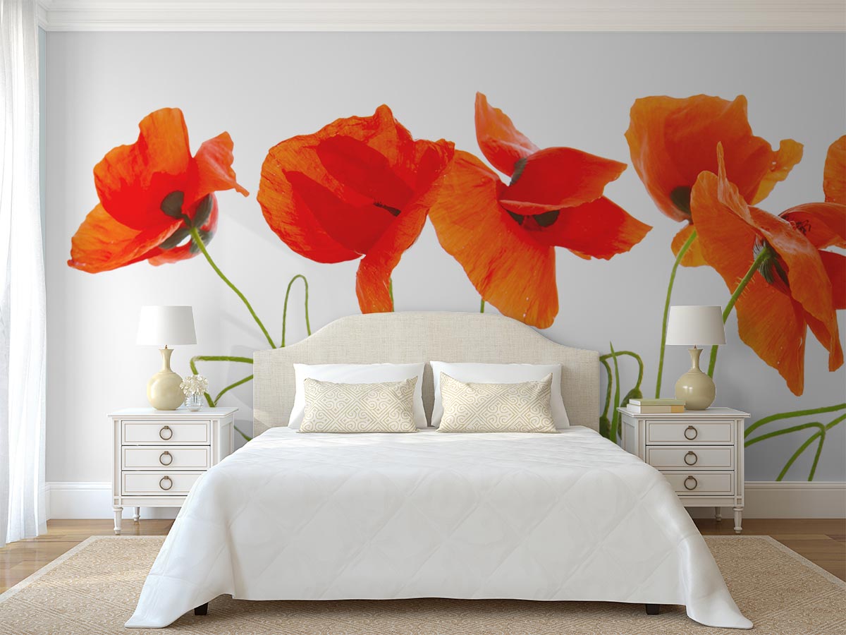 Fotobehang Bloemen: Fotobehang klaprozen