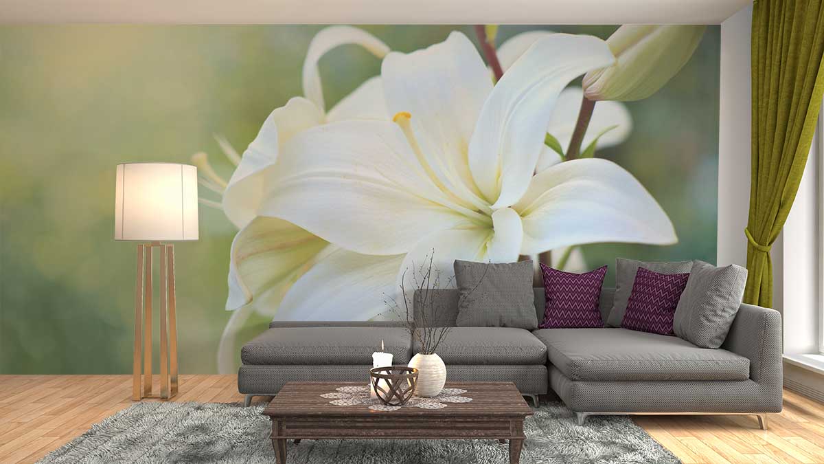 Fotobehang Bloemen: Fotobehang witte Lelie